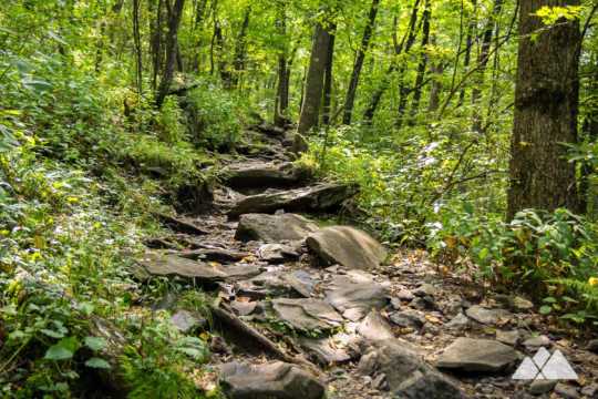 Springer Mountain: hiking the Appalachian Trail
