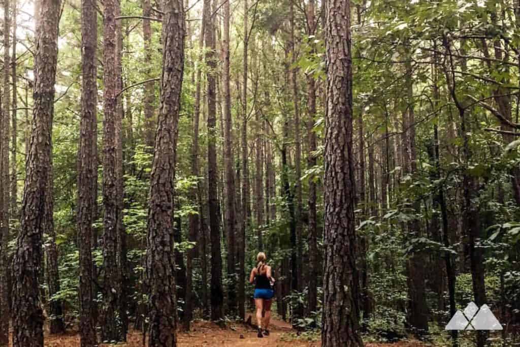 Trail running: a beginner's guide to trails, shoes & gear