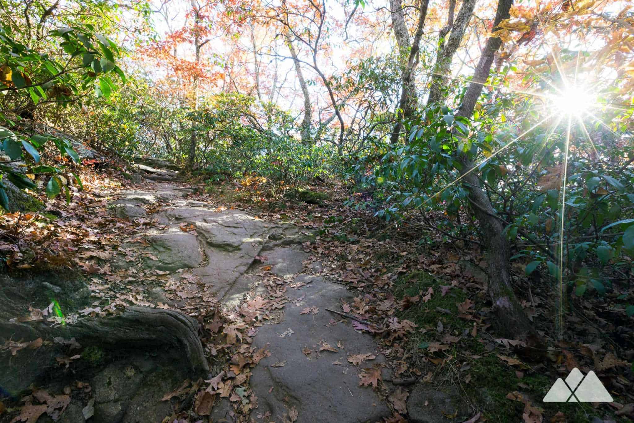 Vogel State Park Coosa Backcountry Trail