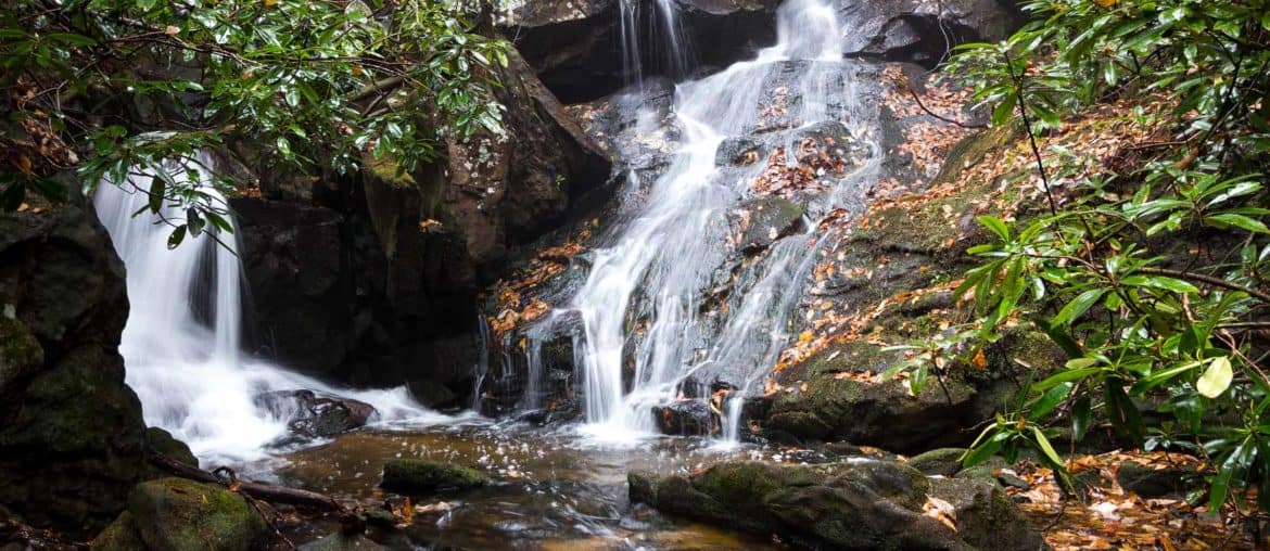 Waterfalls in Blue Ridge, GA: our favorite hikes - Atlanta Trails