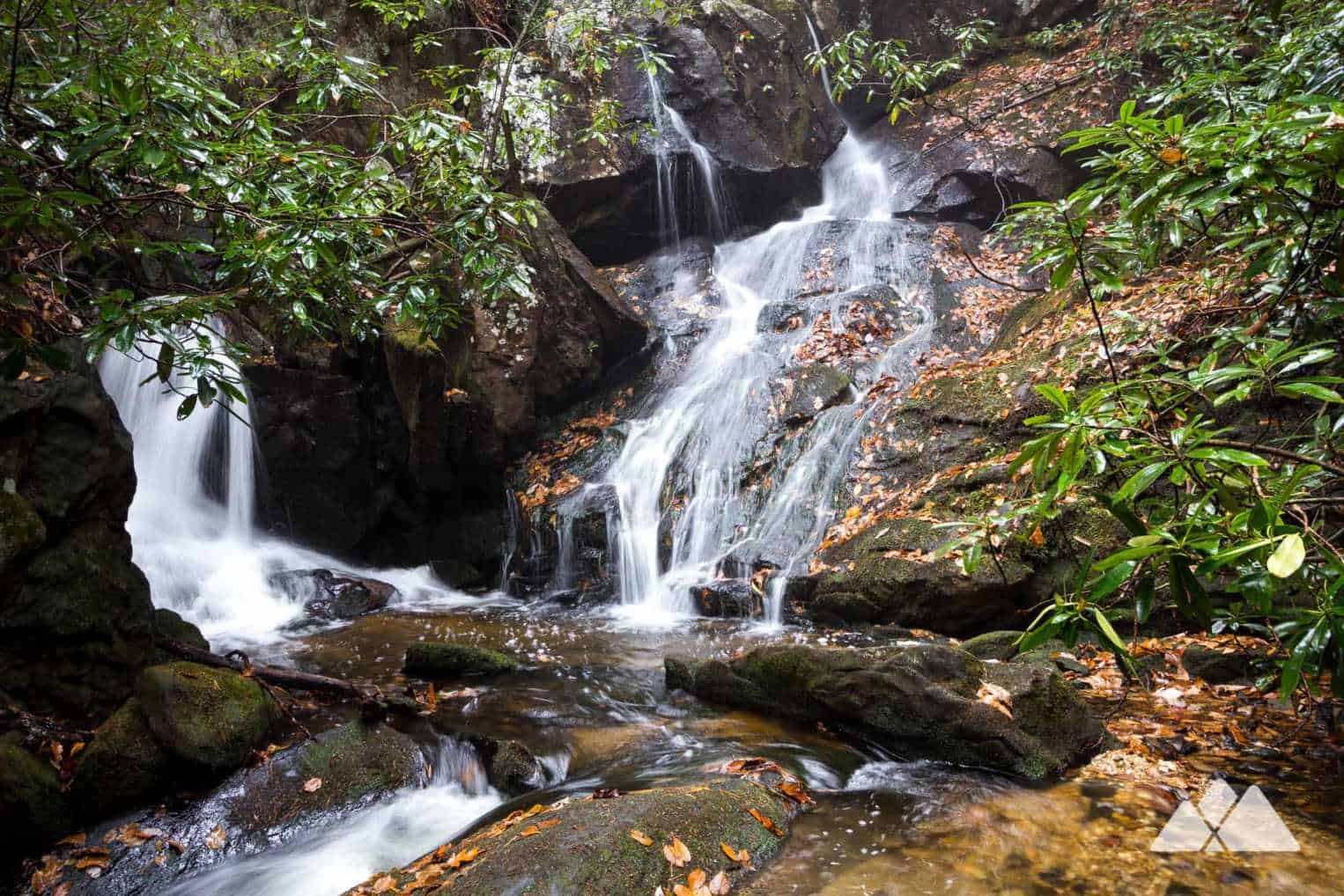 Waterfalls in Blue Ridge, GA: our favorite hikes - Atlanta Trails