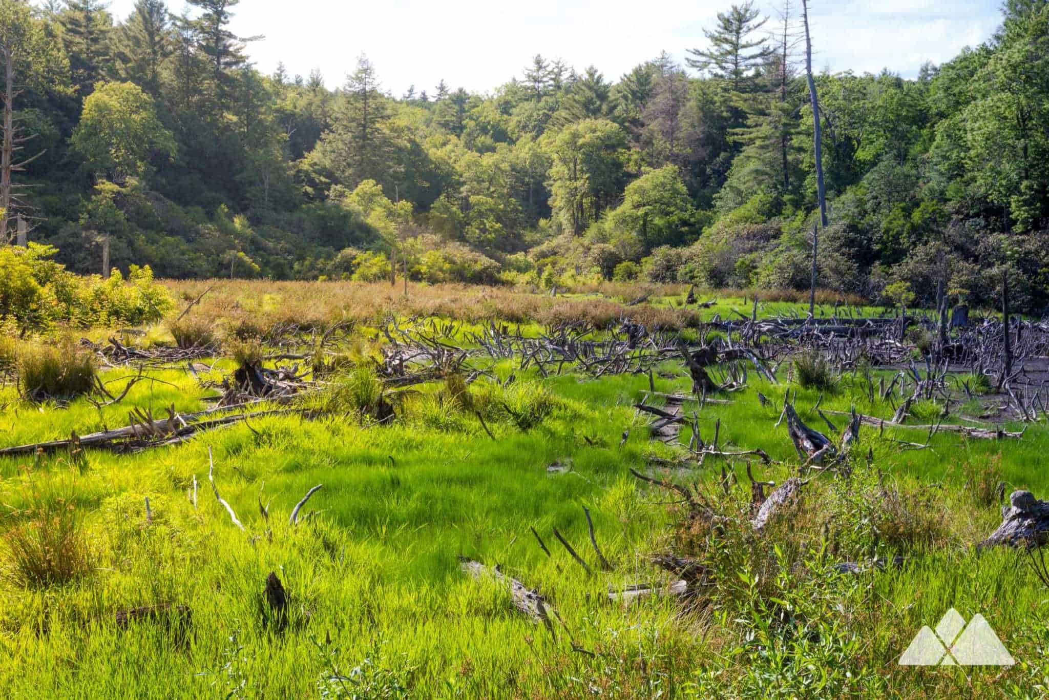 Lake Conasauga Songbird Trail - Atlanta Trails