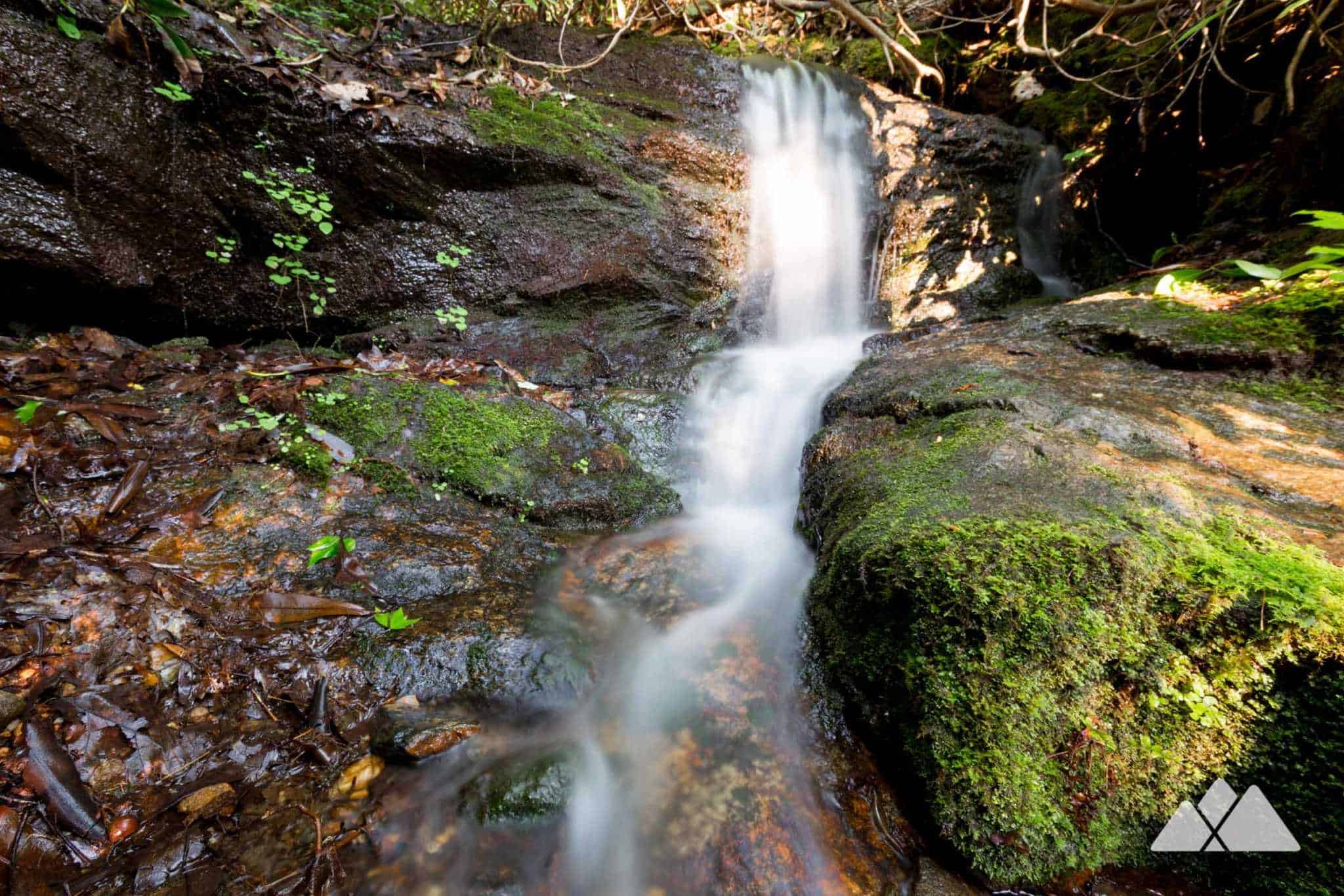 Appalachian Trail: Dicks Creek Gap to Powell Mountain