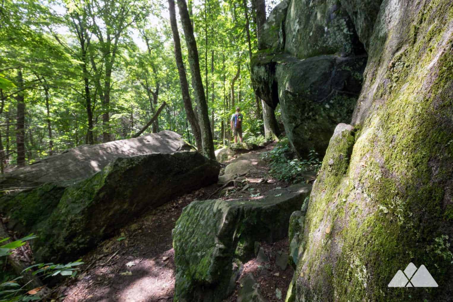 Bear Hair Gap Trail at Vogel State Park - Atlanta Trails